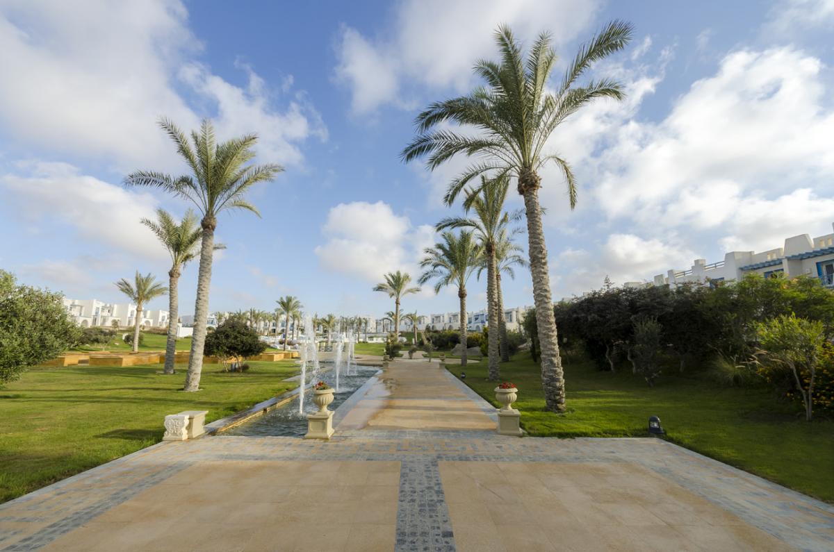 Project: Ras El Hikma, Cairo, Egypt - Infrastructure | L2B