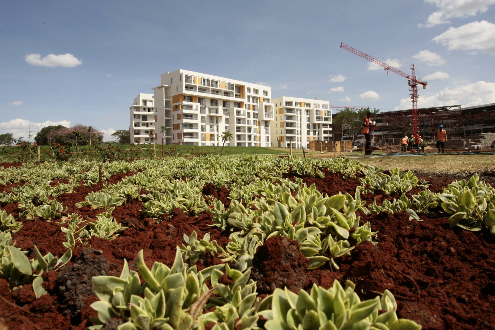 Project: Garden City Development, Nairobi - Offices | L2B