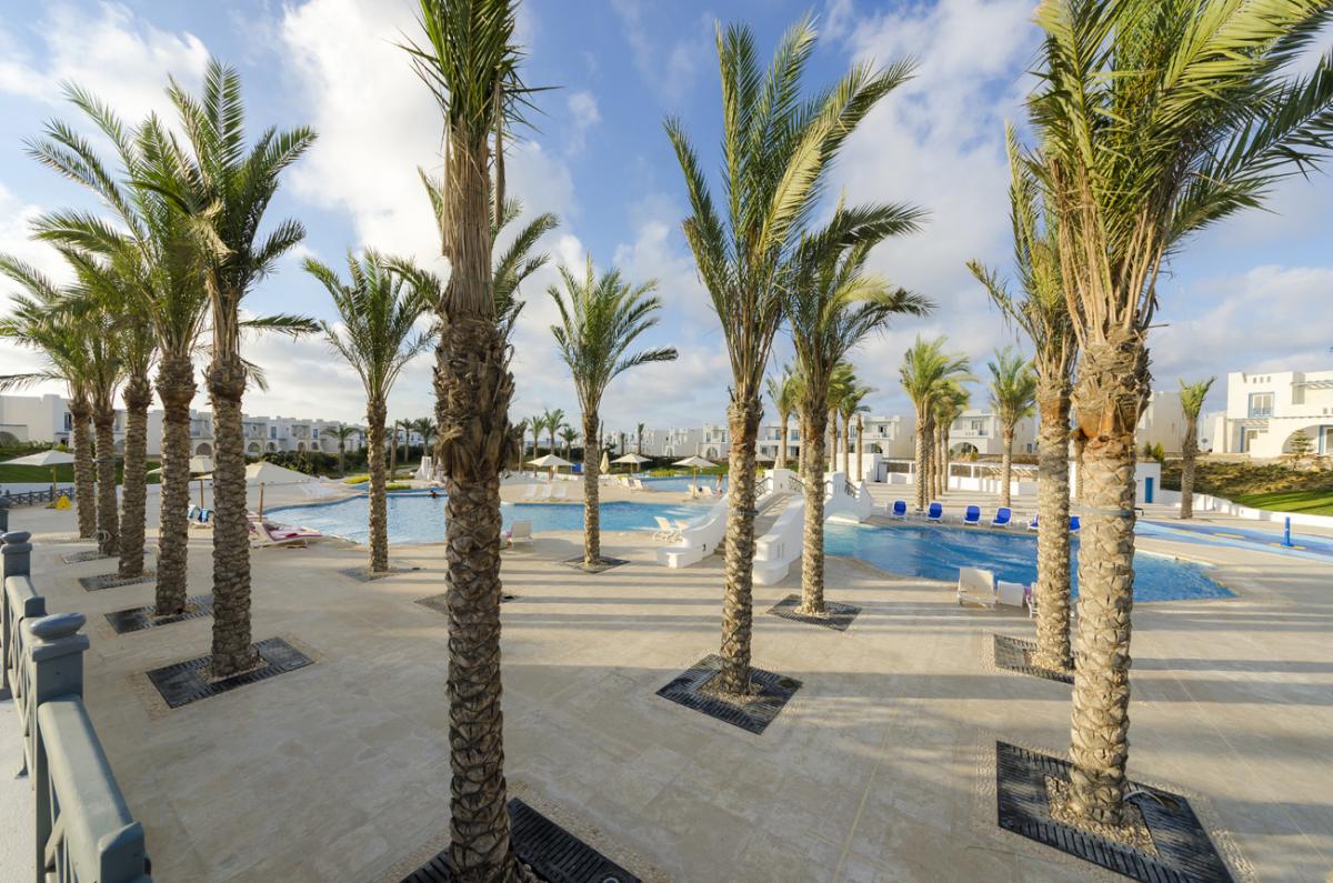 Project: Ras El Hikma, Cairo, Egypt - Infrastructure | L2B